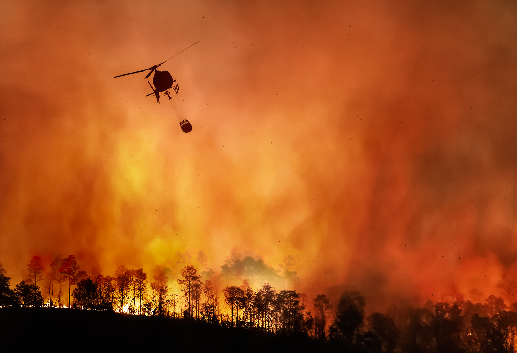 Sustainability Preventing Wildfires NORPAC Sustainability Preventing Wildfires NORPAC